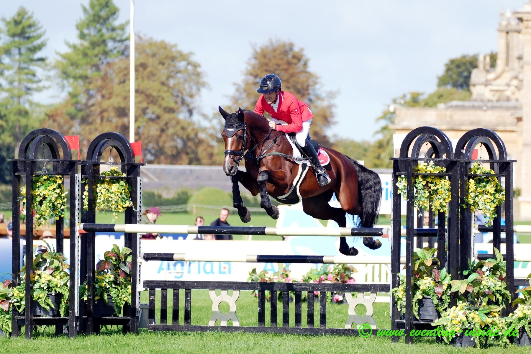 Euro_2025_Blenheim